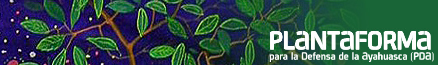 Actividades de la Plantaforma en la III Ayahuasca Conference ...