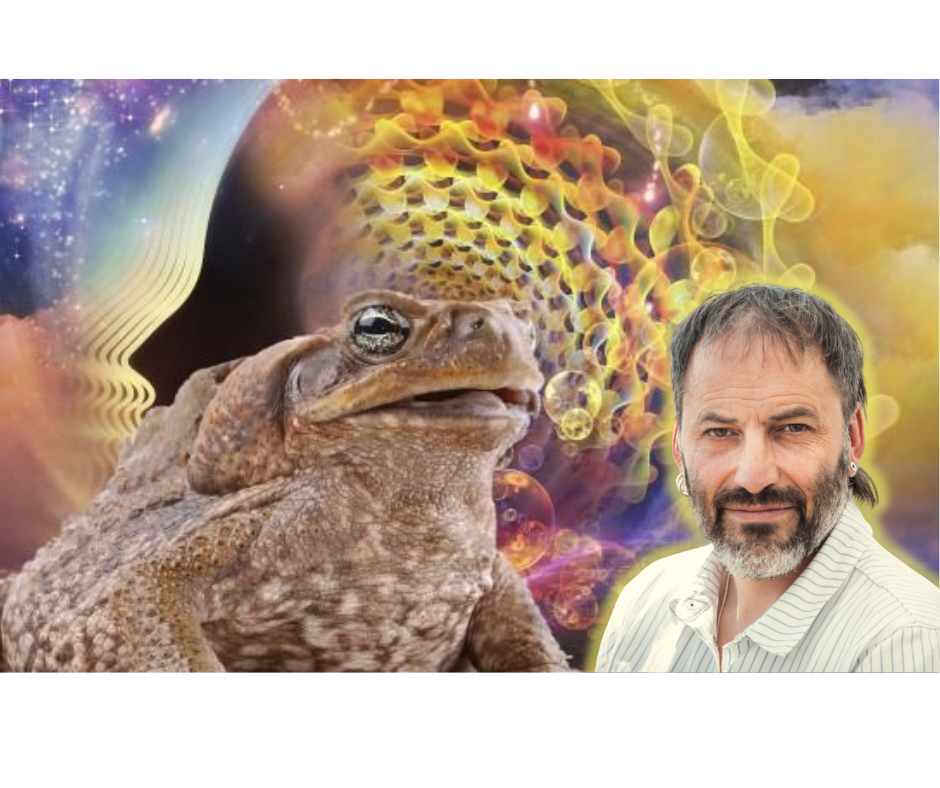 "When you smoke Bufo, you're doing a dress rehearsal for the moment of ...