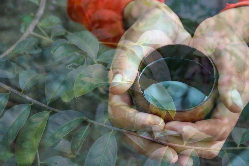 Researchers from around the world call for an end to the persecution of ...