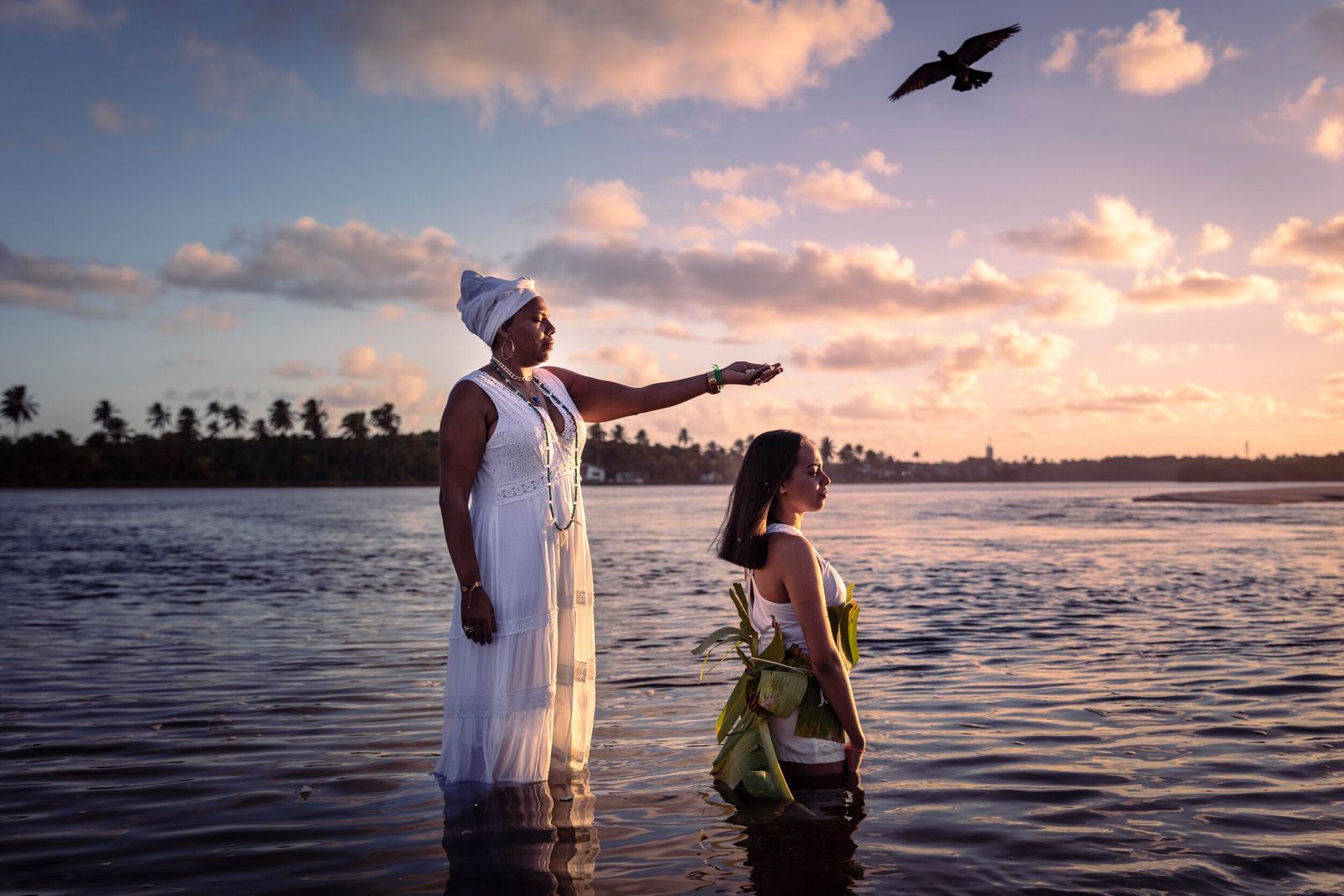 El misterio de la Jurema - Plantaforma para la Defensa de la Ayahuasca