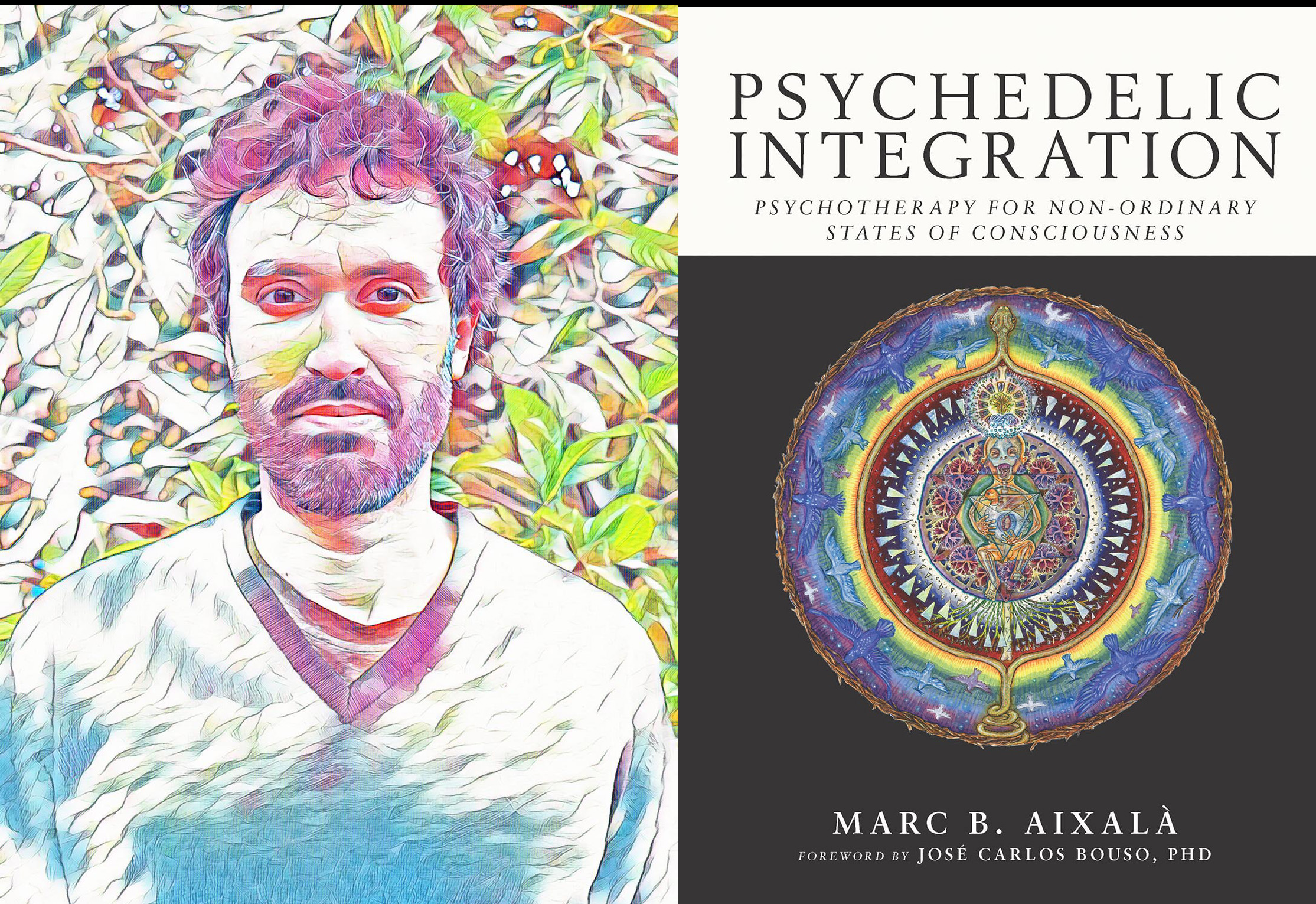 “Psychedelics are good catalysts for processes, but they are rarely the ...